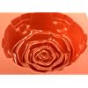 Amazon.com: World Cuisine Non-Stick Silicone Mold, Rose: Baking Molds ...