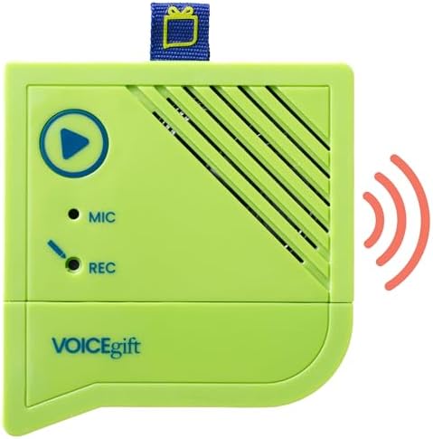 VoiceGift 60 Seconds Voice Recorders for All Occasions (Pack of 1-60 ...