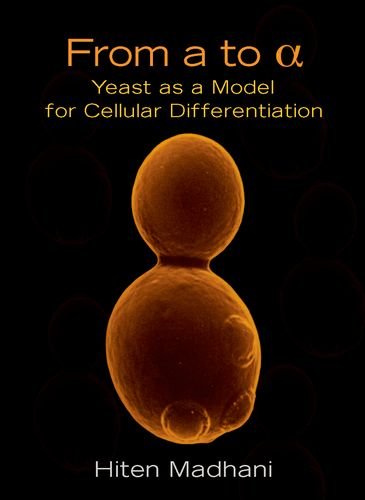 From a to alpha: Yeast as a Model for Cellular Differentiation: Madhani ...