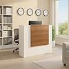 Amazon.com: UGOS ICN 53 Inch Contemporary Reception Desk ...