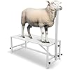 Amazon.com: Kojem Livestock Stand 51x23, Goat Milking Stand, Trimming ...