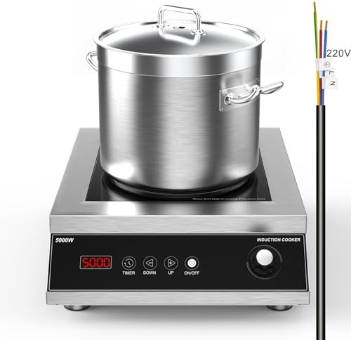 Amazon.com: Leconchef Induction Cooktop Induction Cooker Stainless ...
