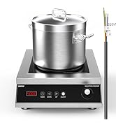 Amazon.com: VBGK Double Induction Cooktop, Induction Hot Plate 12 inch ...