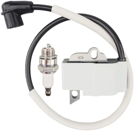 Amazon.com: 395143010 (ID#CDIM 120/15) Ignition Coil with Spark Plug ...