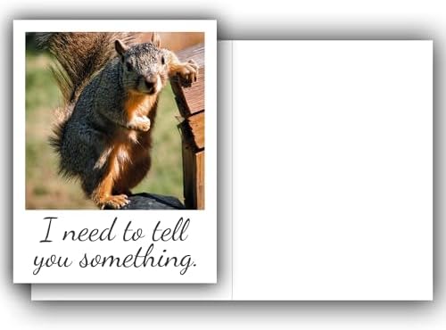 Amazon.com : Moving Truths 5 Pack - Funny Squirrel Greeting Cards ...