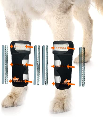 Knuckling In Dogs – The 15 best products compared - Wild Explained