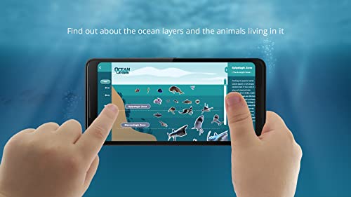 Octagon Studio Ocean 4D+ Augmented Reality Cards: Explore the Ocean and ...