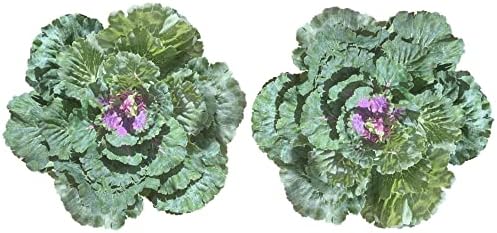 Amazon.com: Collections Etc Artificial Purple Cabbage Roses Use ...