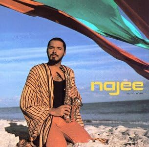 Najee's Theme: Amazon.co.uk: CDs & Vinyl