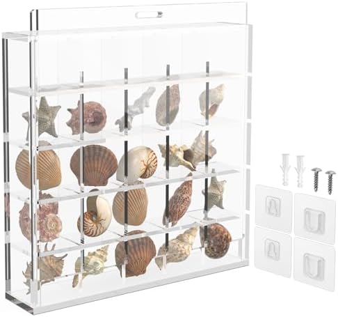 Amazon.com: Acrylic Seashell Display Case, - 100 Grids Magnetic ...