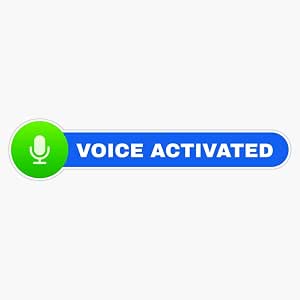 Amazon.com - Realistic Voice Activated Bumper Sticker Vinyl Decal 5"