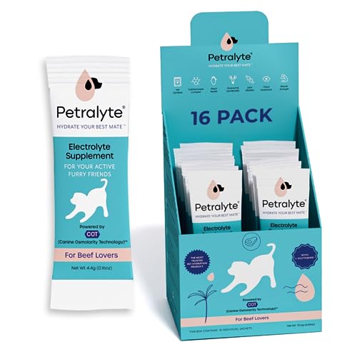 10 Best Electrolytes For Dogs