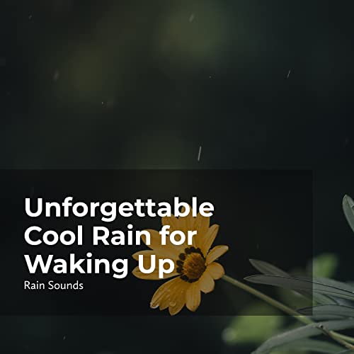 Amazon Music - Rain Sounds & Natural Rain Sounds for Sleeping & Rain ...