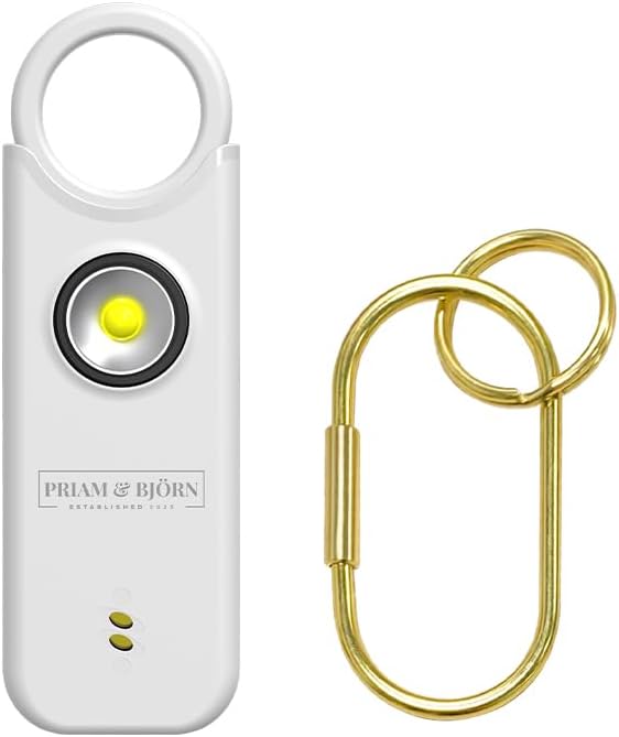 Amazon.com: GuDoQi Personal Safety Alarm, USB C Rechargeable Vibration ...