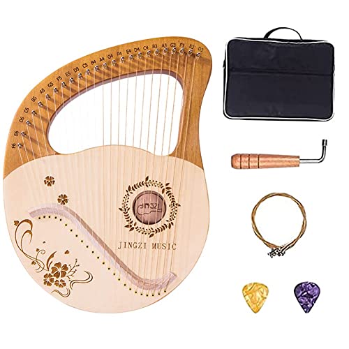 Amazon.co.jp Best Sellers: The most popular items in Stringed ...