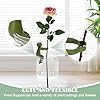 Amazon.com : Vidspl Plant Propagation Friends, Plant Cutting Holder ...