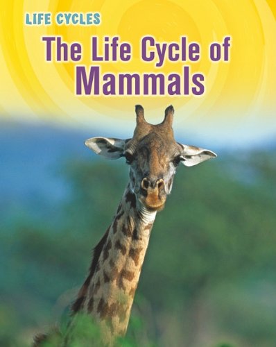 The Life Cycle of Mammals (Heinemann Infosearch: Life Cycles: Level R ...