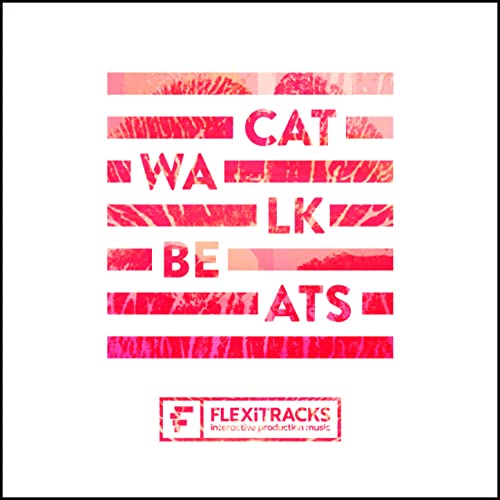 Play Catwalk Beats by Andy Blythe & Marten Joustra on Amazon Music