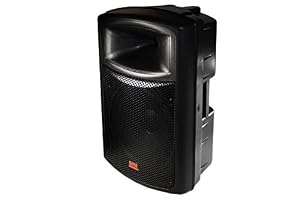 EMB EB115BT Pro Single 15" 2-Way Powered Speaker with Bluetooth 1200 ...