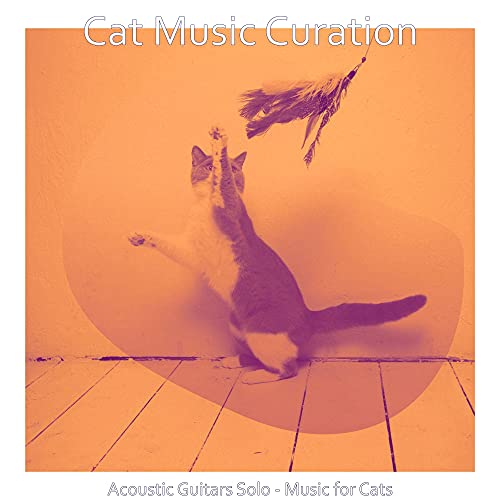 Acoustic Guitars Solo - Music for Cats de Cat Music Curation en Amazon ...