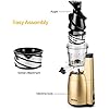 Amazon.com: Slow Masticating Juicer, ROVKA High Nutrient and Vitamins ...