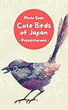 【発売日：2022年05月28日】