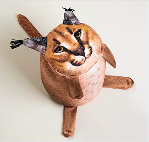 9.8in/25cm Big Floppa Plush, Raise A Floppa Plush Toy, Floppa Plush Cat ...
