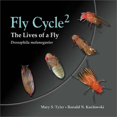 Flycycle 2: Tyler, Mary S., Kozlowski, Ronald N.: 9780878938483: Amazon ...