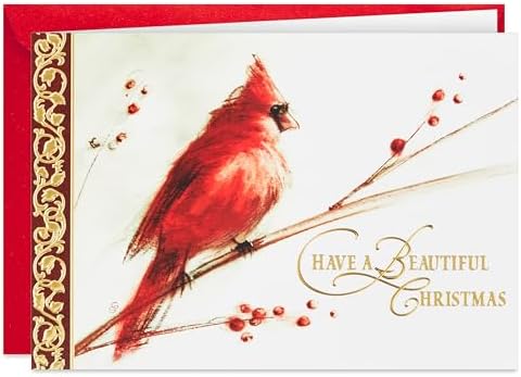 Hallmark Boxed Christmas Cards, Painted Cardinal (40 Cards and 40 ...