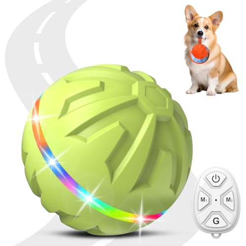 Interactive Dog Ball – The 15 best products compared - Wild Explained