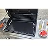 Amazon.com: 6787 Full Size Griddle with Handles for Weber Spirit I & II ...