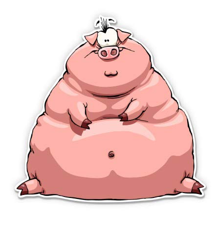 Fat Cartoon Pigs