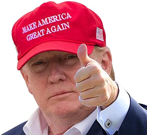 Top 10 Best Donald Trump Window Cling : Reviews & Buying Guide - Katynel