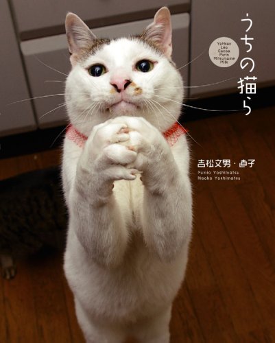 Amazon.com: Uchi no nekora: 9784775512845: Fumio Yoshimatsu; Naoko ...