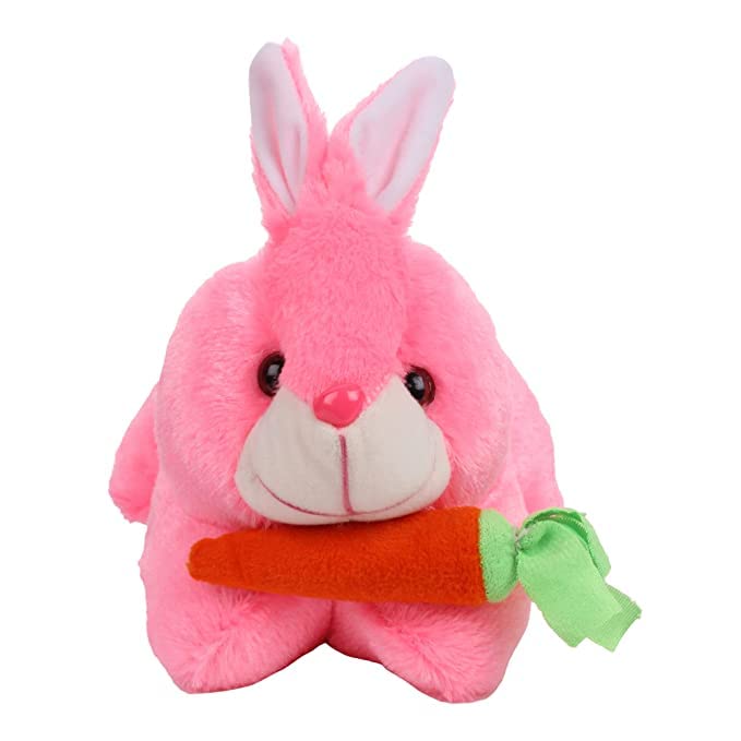 Buy BHAVANIZ Rabbit with Carrot Stuffed Soft Plush Toy for Kids ...
