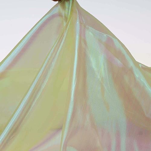 Amazon.com: Sheer Iridescent Organza Fabric 58 Inches Wide - 5 Yards ...