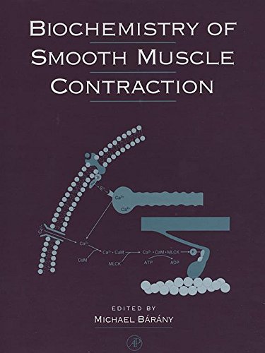 Biochemistry of Smooth Muscle Contraction 1, Barany, Michael - Amazon.com