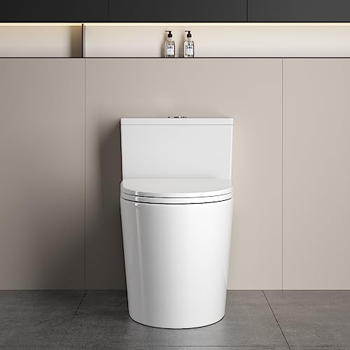 SouNor 10" rough in One Piece Elongated Modern Toilet with Rimless ...