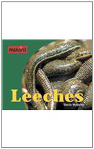 Leeches (Parasites): Wyborny, Sheila: 9780737730500: Amazon.com: Books