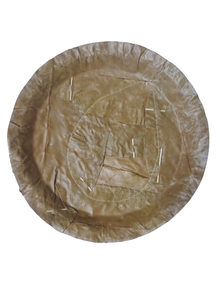 Aadityaa's Rare Salpata, or Sal Leaf Plate, Natural Biodegradable ...