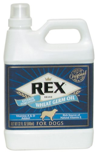 Buy Rex Fortified Wheat Germ Oil Qt Online at Low Prices in India ...