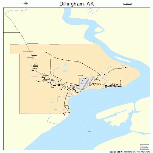 Amazon.com: Large Street & Road Map of Dillingham, Alaska AK - Printed ...