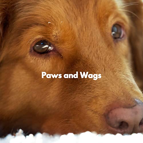 Amazon.co.jp: Paws and Wags : Musica para Perros: Digital Music
