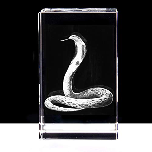 25 Gifts for Snake Lovers (Some Are Creepy AF)