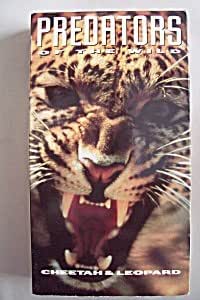 Amazon.com: Predators of the Wild Cheetah & Leopard : Time LIfe: Movies ...