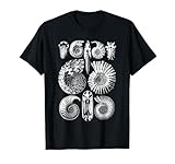 ・ブランド:Old Science Art・製造元:Old Science Art・製造元/メーカー部品番号:G59MR85783G・Ernst Haeckelアートのファン、化石、軟体動物、甲殻類、古生物学、コンチョロジー、マラコロジーに...