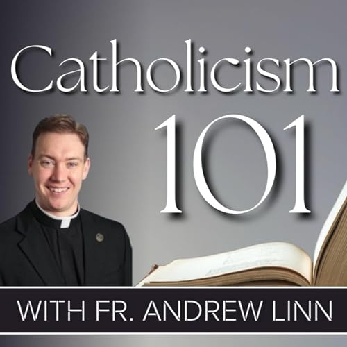 Amazon.com: Catholicism 101 : Fr. Andrew Linn: Books
