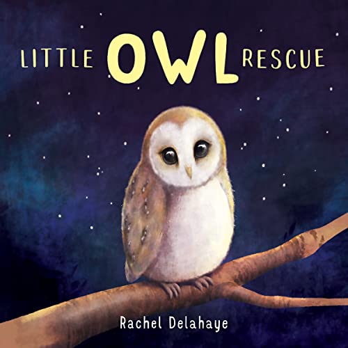 Little Lion Rescue (Audio Download): Rachel Delahaye, Helen Keeley ...