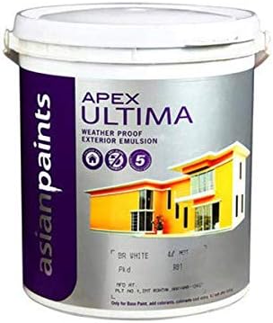 Asian Paint Royal Luxury Emulsion 1Ltr. Sugared Nut : Amazon.in: Home ...