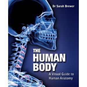 The Human Body : A Visual Guide to Human Anatomy: 9780857382504: Books ...